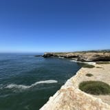 Old Cove Landing Trail, California - 3,645 Reviews, Map | AllTrails