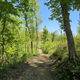 Point Ann Trail, Iowa - 78 Reviews, Map | AllTrails