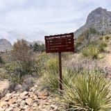 Basin Loop Trail, Texas - 1,154 Reviews, Map | AllTrails