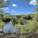 The Manistee River Loop Trail, Michigan - 2,108 Reviews, Map | AllTrails
