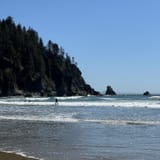 Cape Falcon Trail, Oregon - 3,814 Reviews, Map | AllTrails