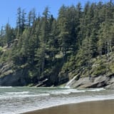 Cape Falcon Trail, Oregon - 3,814 Reviews, Map | AllTrails