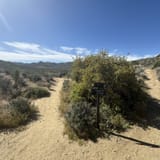 Warren Peak via Black Rock Trail and Panorama Loop, California - 1,096 ...