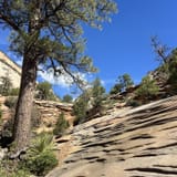 Many Pools Trail, Utah - 1,556 Reviews, Map | AllTrails