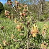Luton Park Trail, Michigan - 1,123 Reviews, Map | AllTrails