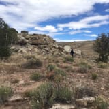Trail Through Time, Colorado - 328 Reviews, Map | AllTrails