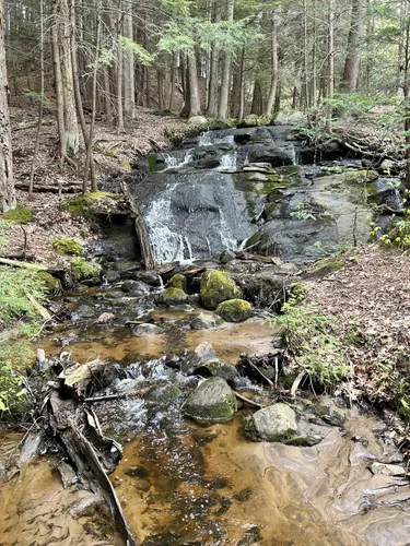 Best Historic Site Trails In Bracebridge Alltrails