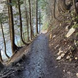 Franklin Falls Trail, Washington - 5,092 Reviews, Map | AllTrails