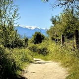 Primitive Trail Loop, Washington - 560 Reviews, Map | AllTrails
