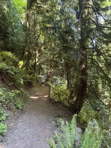 Best Easy Trails in Mukilteo | AllTrails