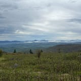 Mount Rogers Loop Trail, Virginia - 391 Reviews, Map | AllTrails