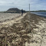 Napatree Point Conservation Area Trail, Rhode Island - 807 Reviews, Map ...