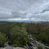 Hawksbill Loop Trail, Virginia - 4,451 Reviews, Map | AllTrails