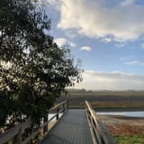 Bibra Lake Loop, Western Australia, Australia - 423 Reviews, Map ...