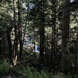 Whatcom Creek Trail Loop, Washington - 1,867 Reviews, Map | AllTrails