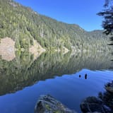 Lake Isabel Trail #1080, Washington - 424 Reviews, Map | AllTrails