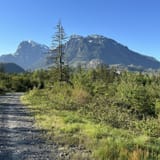 Lake Isabel Trail #1080, Washington - 424 Reviews, Map | AllTrails