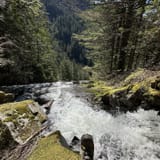 Lake Isabel Trail #1080, Washington - 424 Reviews, Map | AllTrails