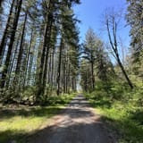 Lake Isabel Trail #1080, Washington - 424 Reviews, Map | AllTrails