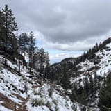 Seven Bridges Trail, Colorado - 7,258 Reviews, Map | AllTrails