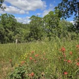 Frog Lake Loop Trail, California - 592 Reviews, Map | AllTrails