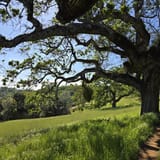 Frog Lake Loop Trail, California - 592 Reviews, Map | AllTrails