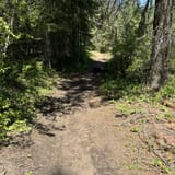 Mount Emily Recreation Area Loop, Oregon - 246 Reviews, Map | AllTrails