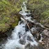 Mount Emily Recreation Area Loop, Oregon - 246 Reviews, Map | AllTrails