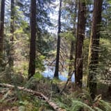 Lord Hill, Main Trail, and Temple Pond Loop Trail, Washington - 1,456 ...