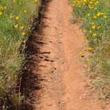 Foresthill Divide Loop, California - 1,115 Reviews, Map | AllTrails