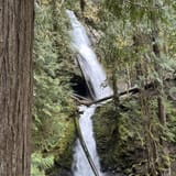 Murhut Falls Trail, Washington - 949 Reviews, Map | AllTrails