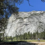 Sentinel Meadow Cook's Meadow Loop Trail, California - 3,211 Reviews ...