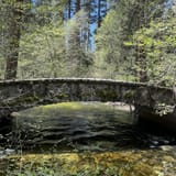 Sentinel Meadow Cook's Meadow Loop Trail, California - 3,211 Reviews ...