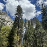 Sentinel Meadow Cook's Meadow Loop Trail, California - 3,242 Reviews ...