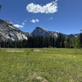 Sentinel Meadow Cook's Meadow Loop Trail, California - 3,211 Reviews ...
