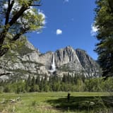 Sentinel Meadow Cook's Meadow Loop Trail, California - 3,211 Reviews ...
