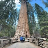 Congress Trail, California - 2,909 Reviews, Map | AllTrails