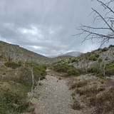 The Slots (Lower Kyle Canyon), Nevada - 198 Reviews, Map | AllTrails