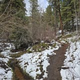 Mount Herman Trail, Colorado - 1,709 Reviews, Map | AllTrails