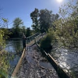 Foster Island Trail, Washington - 719 Reviews, Map | AllTrails