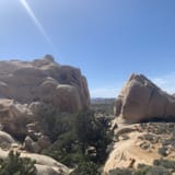 Ryan Mountain, California - 7,539 Reviews, Map | AllTrails