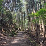 Mount Atago Loop, Kyoto, Japan - 182 Reviews, Map | AllTrails