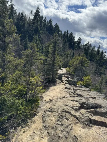 Best Hikes and Trails in Colebrook | AllTrails