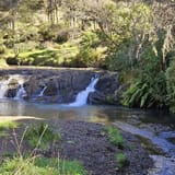 KaraKariki Falls Track, Waikato, New Zealand - 41 Reviews, Map | AllTrails