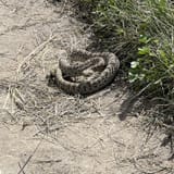 Castle Trail to Medicine Root Loop, South Dakota - 662 Reviews, Map ...