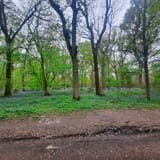 Grafham Water Circular, Cambridgeshire, England - 478 Reviews, Map ...