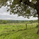 Donnington Castle and Snelsmore Common Circular, Berkshire, England ...