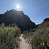 The Window Trail, Texas - 4,525 Reviews, Map | AllTrails