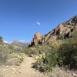 The Window Trail, Texas - 4,525 Reviews, Map | AllTrails