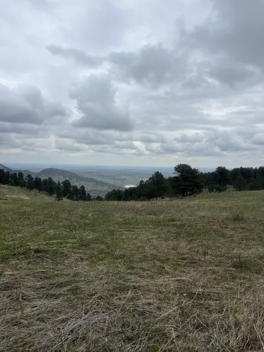 Best Bird Watching Trails in White Ranch Park | AllTrails